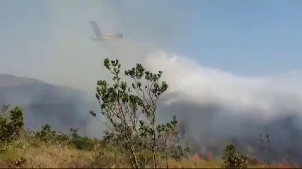 Incêndios No Pantanal Municípios Em Emergência No Ms Tv Uol