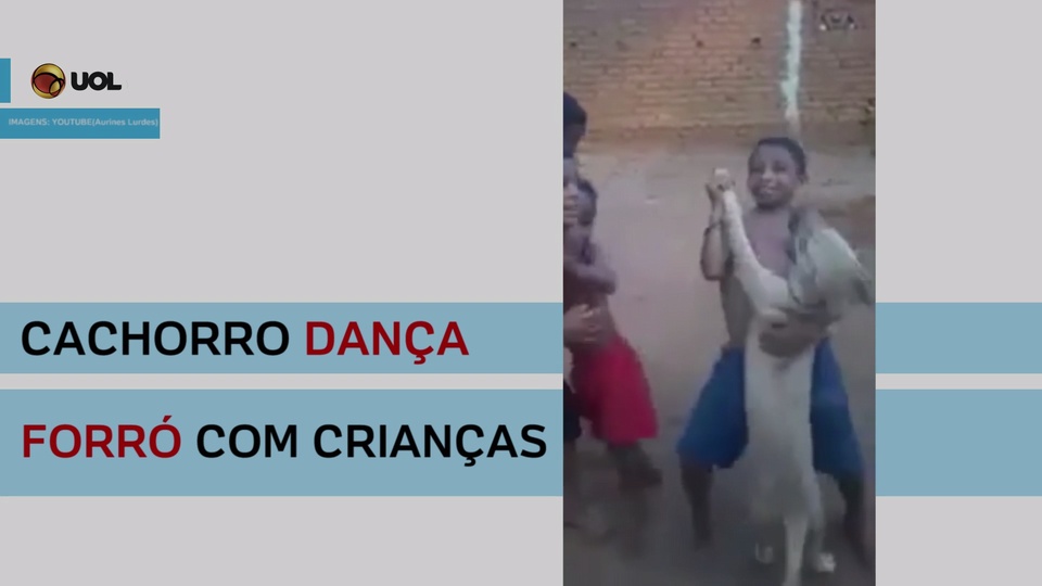 Em vídeo viral, cachorro dança forró com crianças - 03/10/2015 - UOL ...