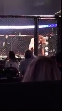 Thiago Silva, ex-UFC sofre nocaute brutal nos EUA - 25/11/2015 - UOL Play