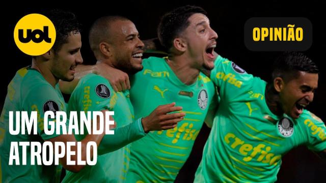 Danilo Lavieri: Palmeiras do Abel transforma em realidade as diferenças ...