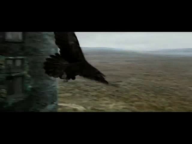 Daniel Radcliffe fala aos fãs brasileiros de Harry Potter - 04/11/2010 ...